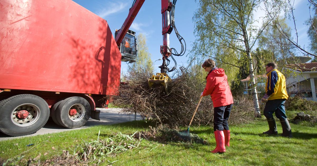 Brushwood collection - HSY